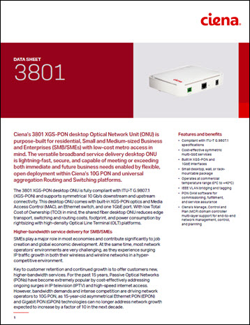 3801-Ciena - raybet电竞